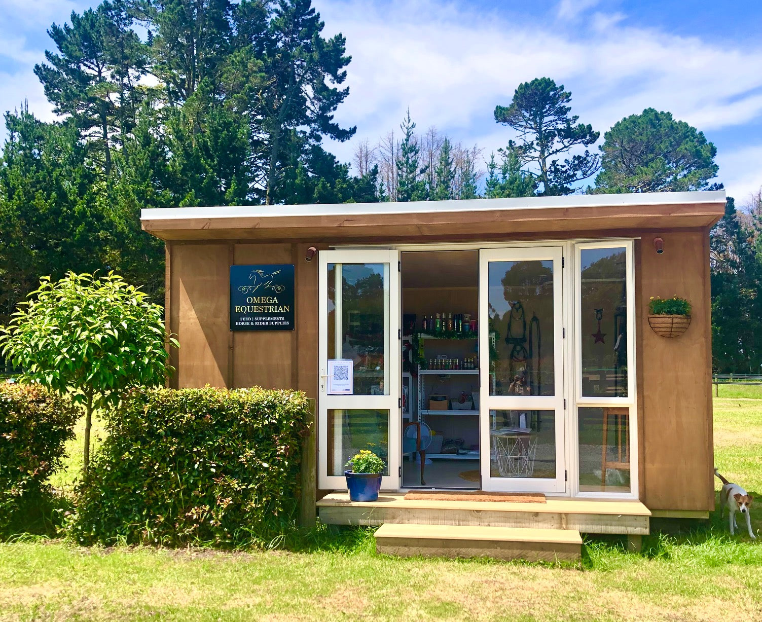 Omega Wellness – Omega Wellness